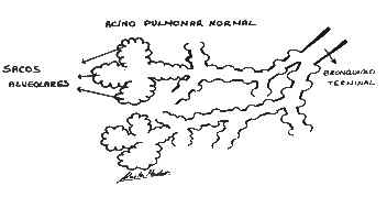PATOLOGÍA LARÍNGEA Y DEL ESPACIO AÉREO BRONCOPULMONAR